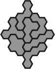 Tetrahex Bisymmetry