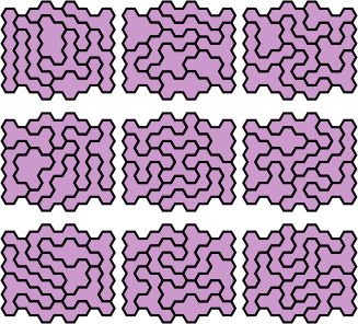 Hexahexes Nonets Problem
